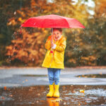 Home - Howe Insurance Agency